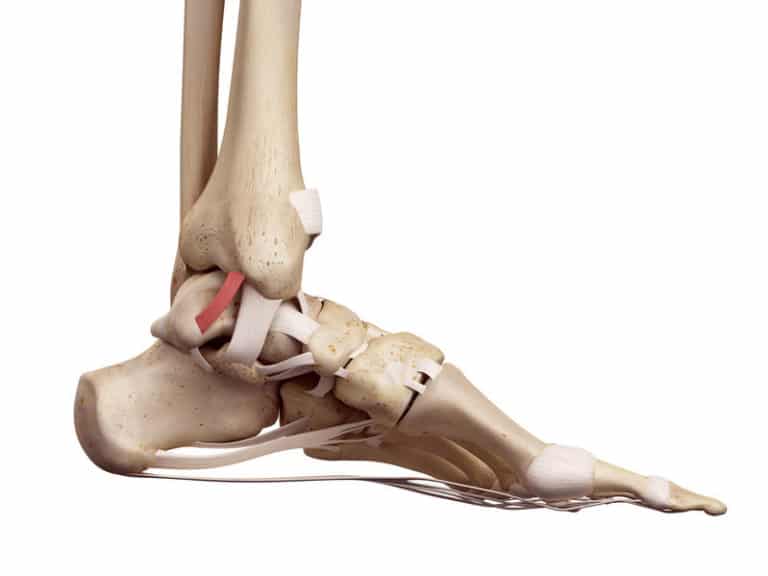 Banded Ankle Mobilization: Improve your ankle mobility - Mission MVMT